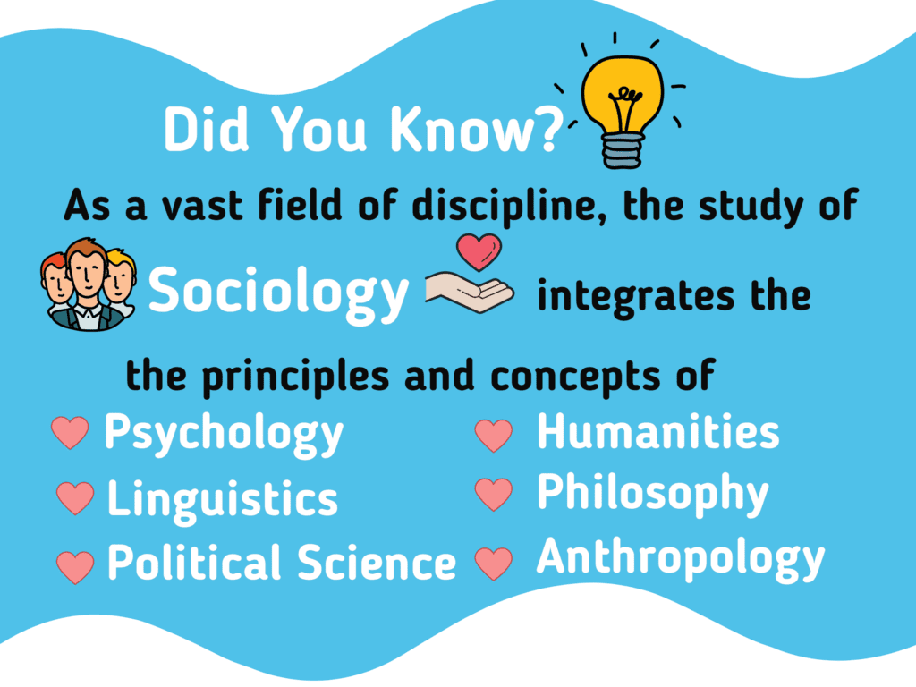 The 25 Best Online Schools for Bachelor’s in Sociology - Online ...