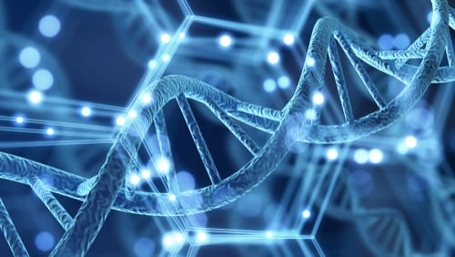The 5 Best Online Schools for Bachelor's in Biology - Online Bachelor ... The 5 Best Online Schools for Bachelor's in Biology - Online Bachelor ...