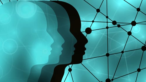 The 16 Best Online Schools Bachelor’s in Social Science Degree Programs ...