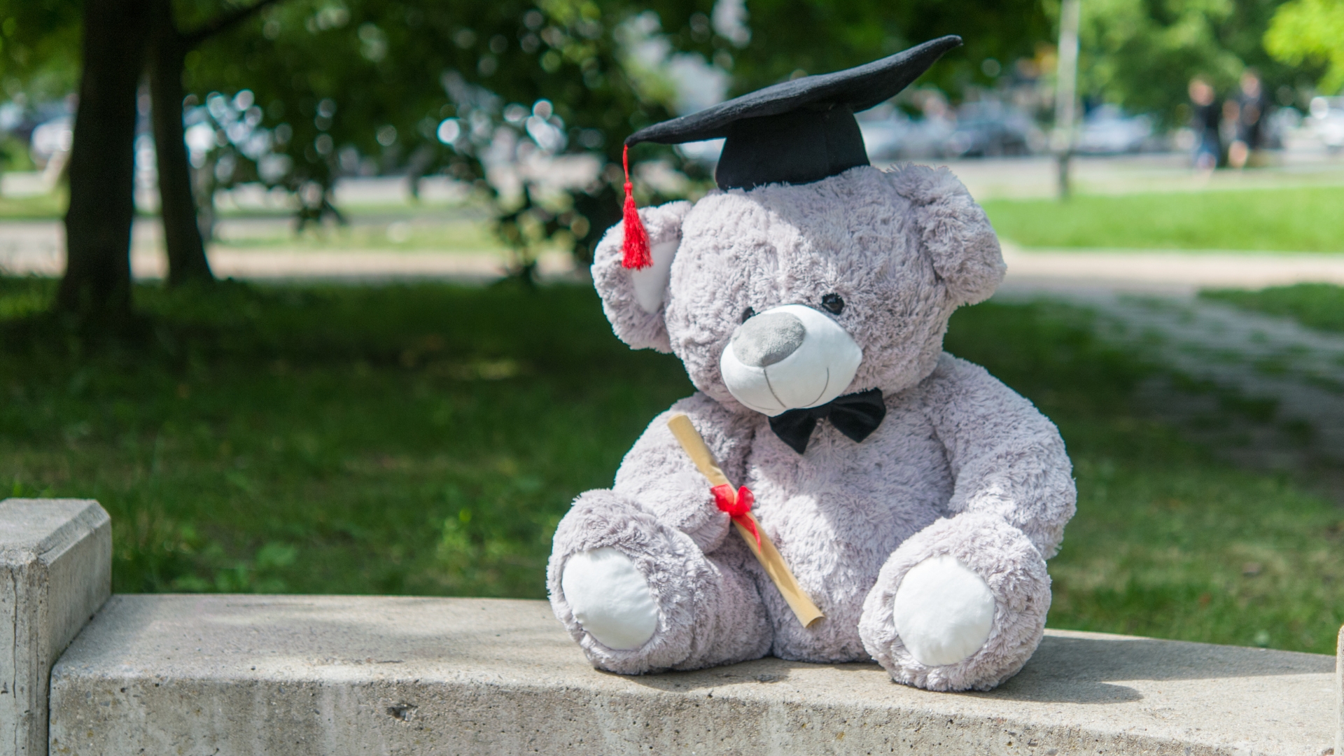 20 Strangest Bachelor's Degrees in 2023 - Online Bachelor Degrees