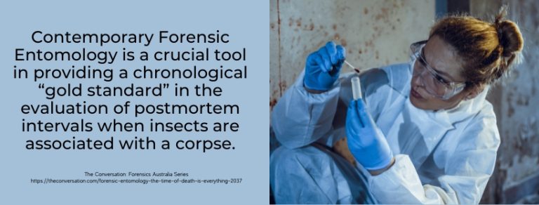 The 7 Best Online Bachelor's in Forensic Entomology - Online Bachelor ...